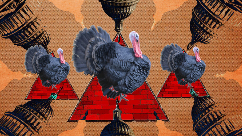 Wauwatosa Turkeys Deep Fried By Deep State? - Wisconsin News Today